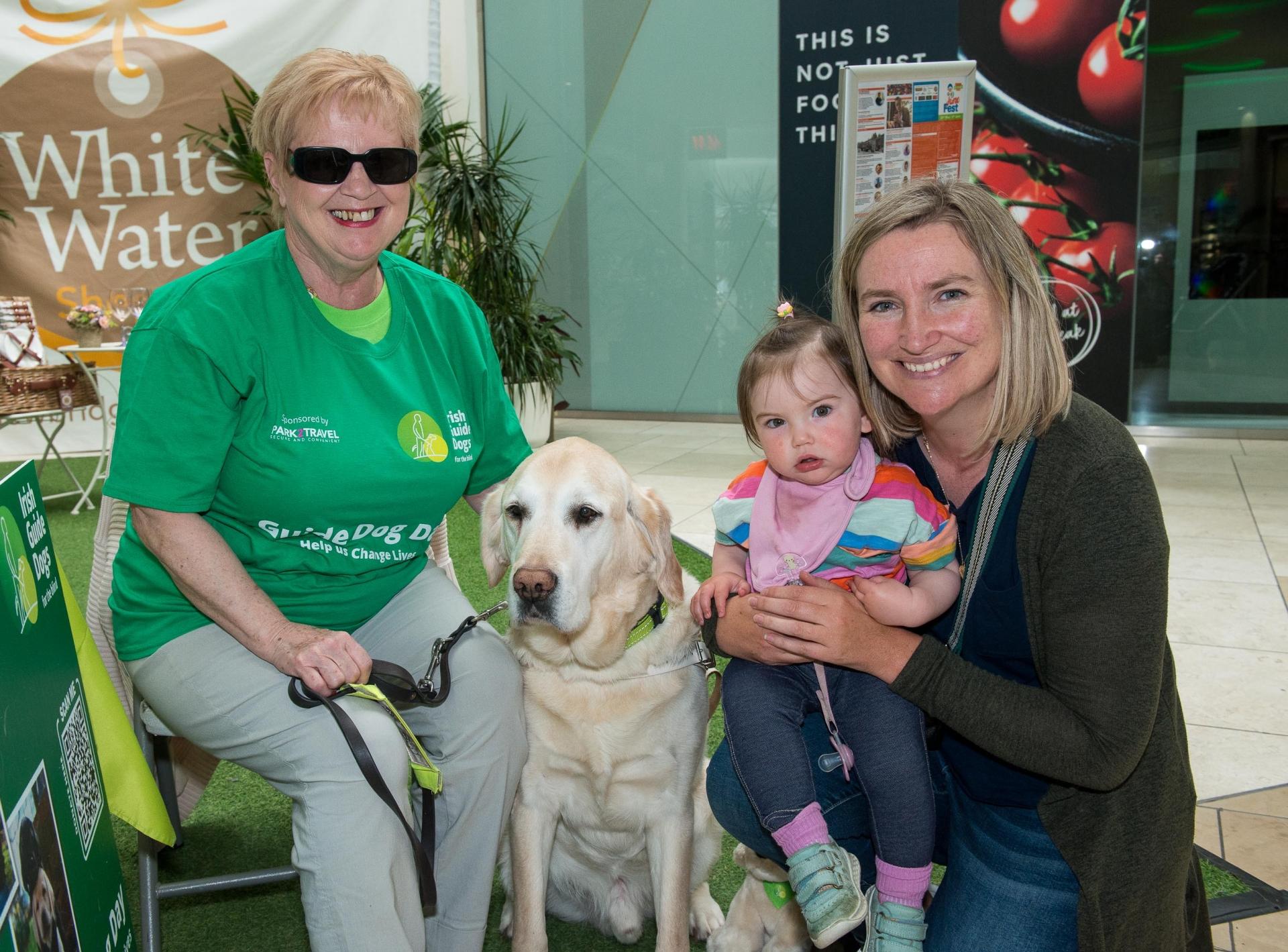 PICTURES: Irish Guide Dogs hold annual Kildare awareness day - Page 1 ...