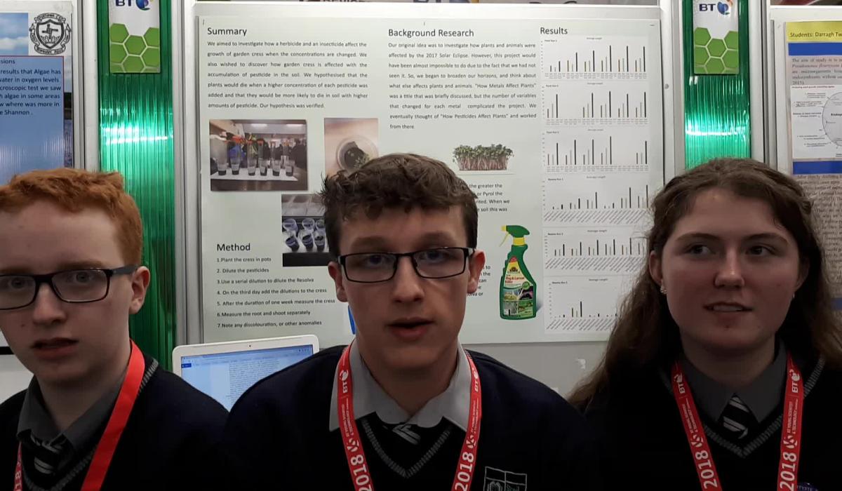 WATCH: Students of Scoil Mhuire Community School, Clane, examine an ...