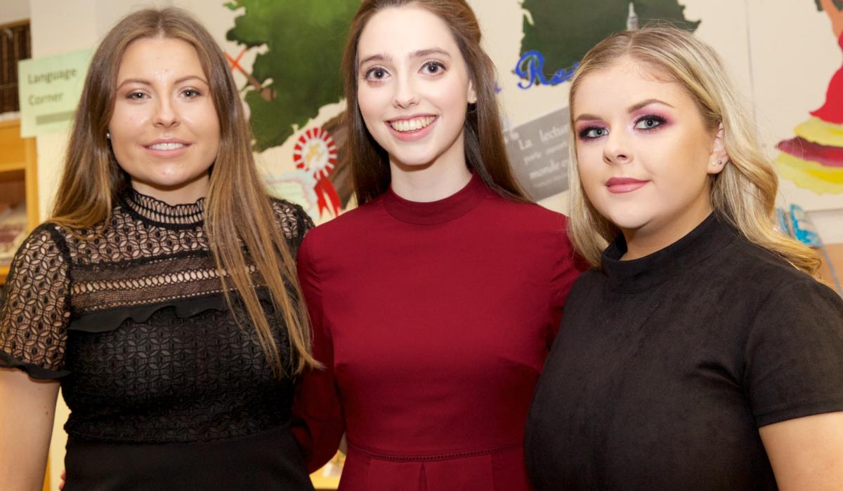 PHOTO GALLERY: St Mary's College, Naas, annual awards - Photo 2 of 9 ...