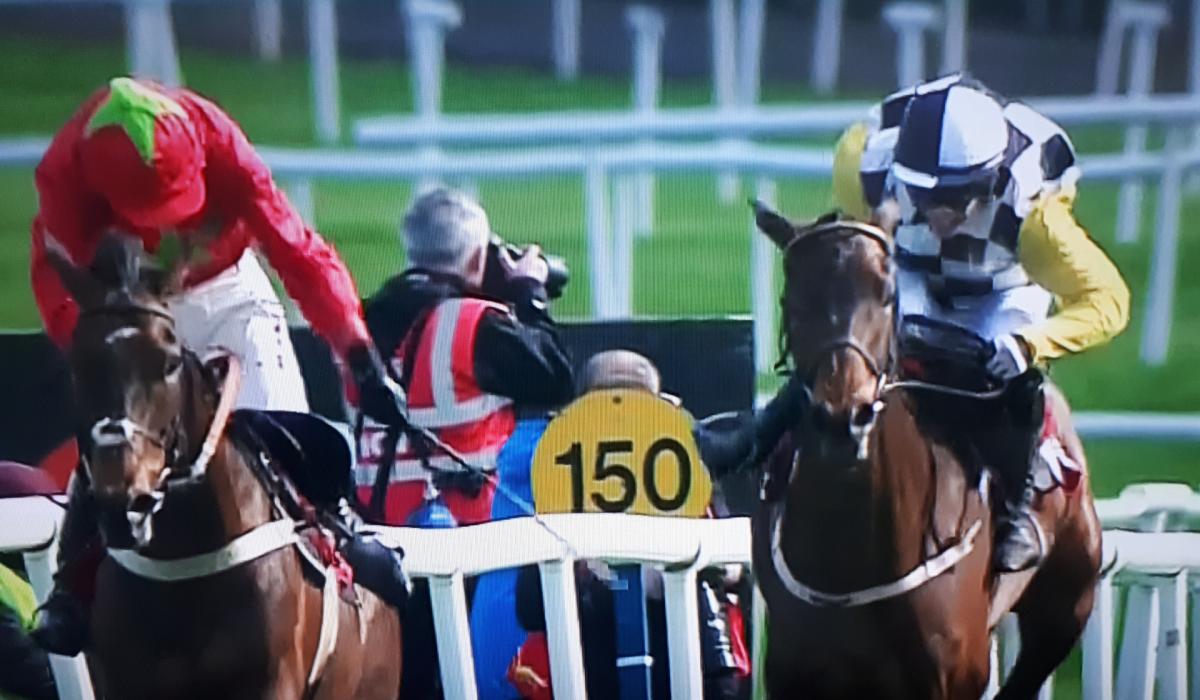 Leinster Leader owner's horse wins Grade 1 hurdle at Punchestown ...