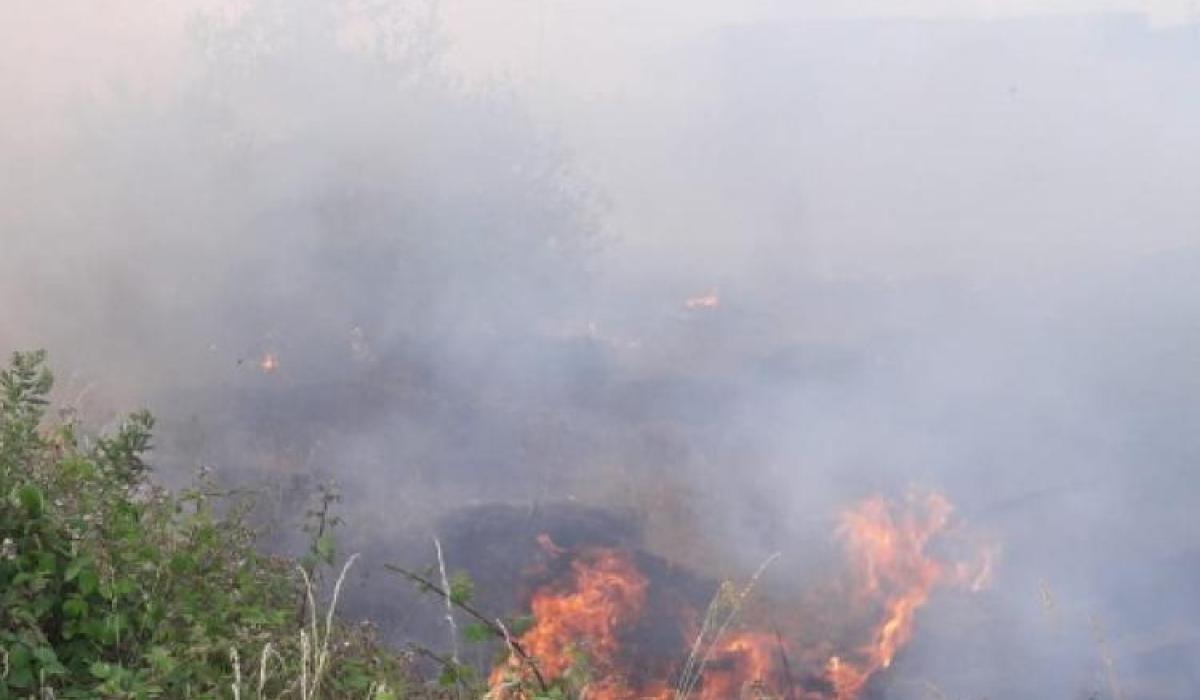 Bog fire in Prosperous blowing smoke towards people's homes - Kildare Live