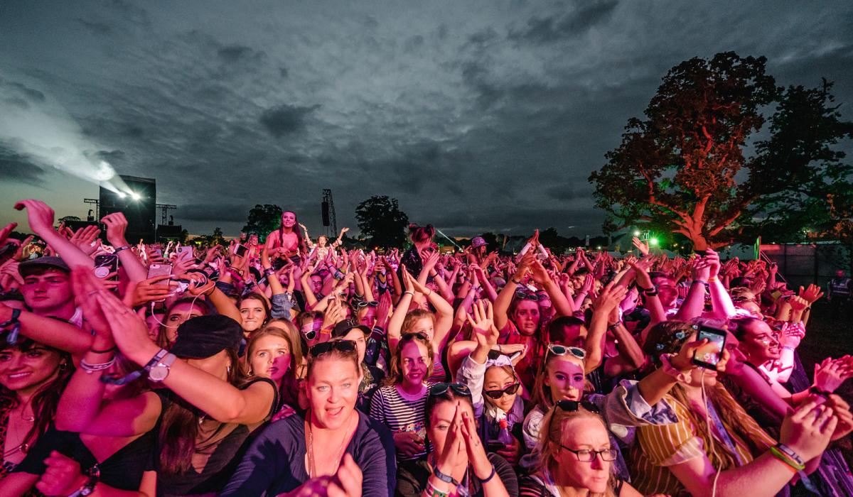 Exciting new Electric Picnic acts announced for Kildare fans - Kildare Live