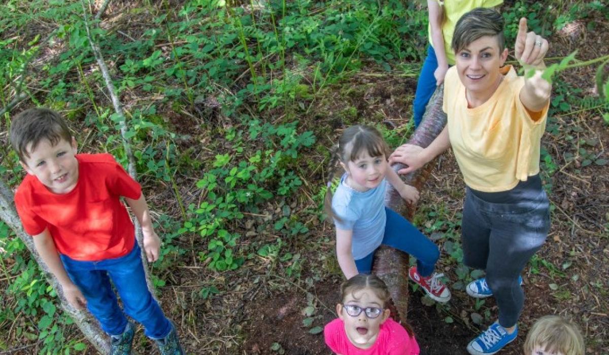 Kildare companies to appear at Gifted in the RDS - Kildare Live