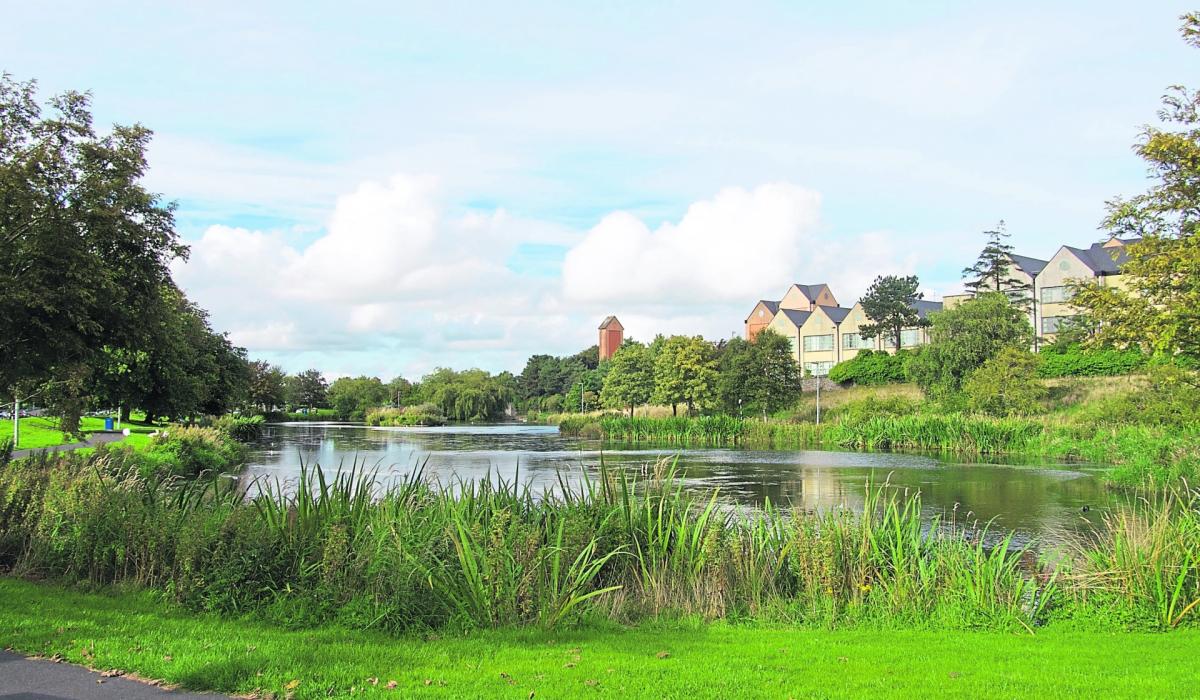 New public lights needed at Monread Park and Naas lakes - Kildare Live