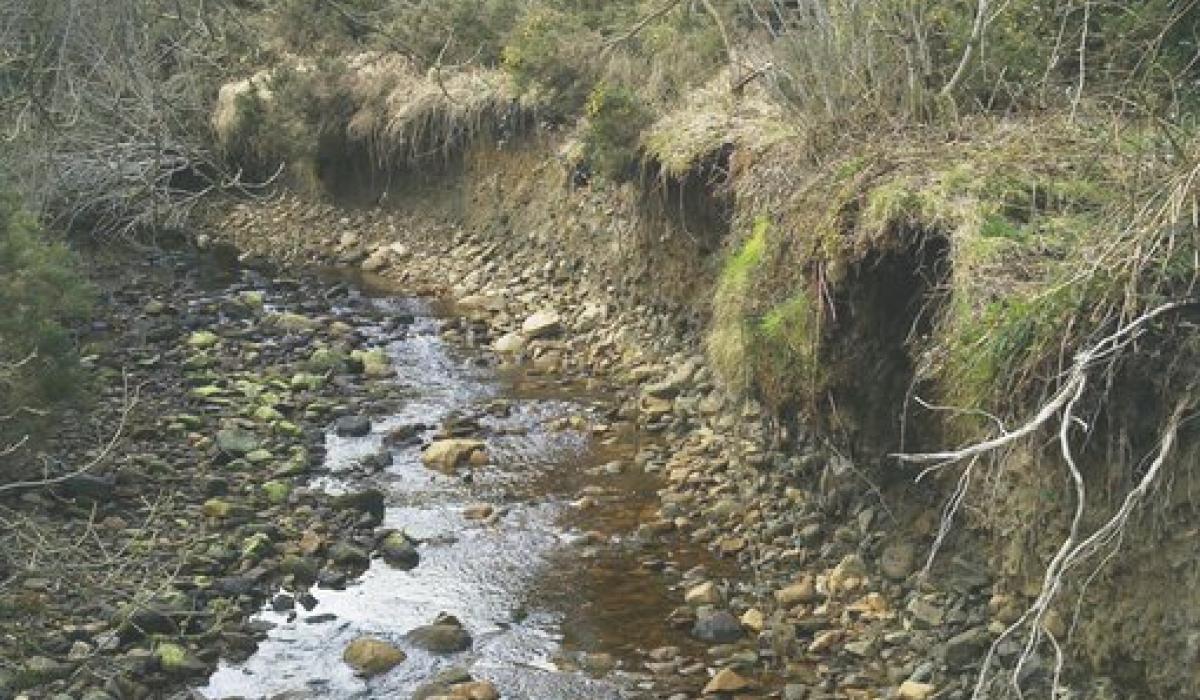 'Dropped dramatically,' shocking statistic about number of pristine ...