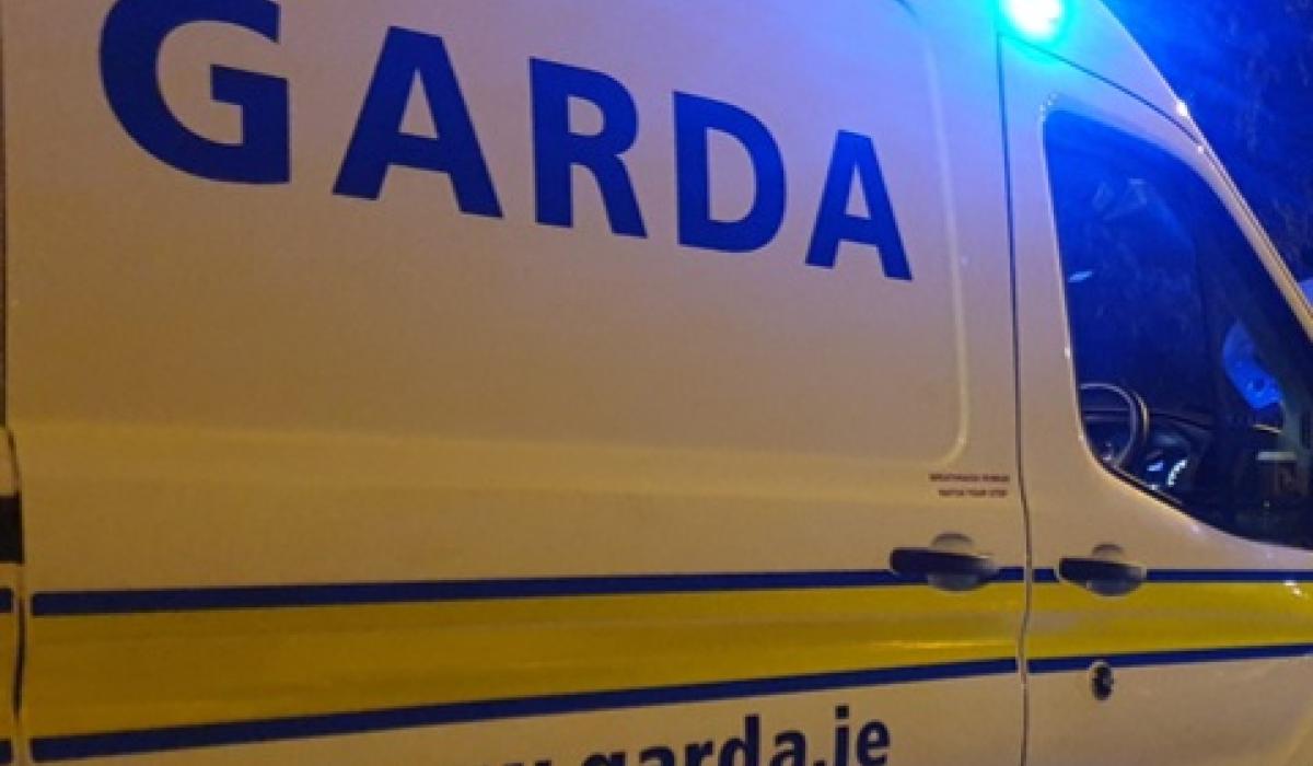 Gardaí in urgent appeal for witnesses to assault that left man critically injured - Kildare Live