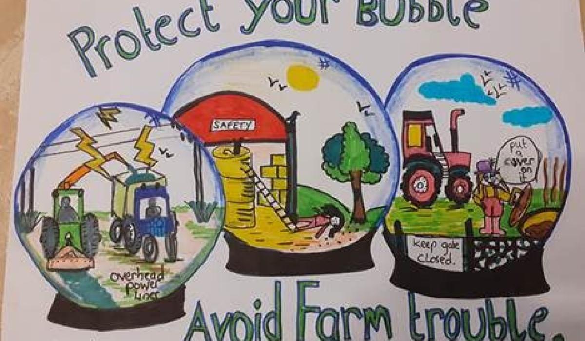 Kildare girl wins Teagasc farm safety poster competition - Kildare Live