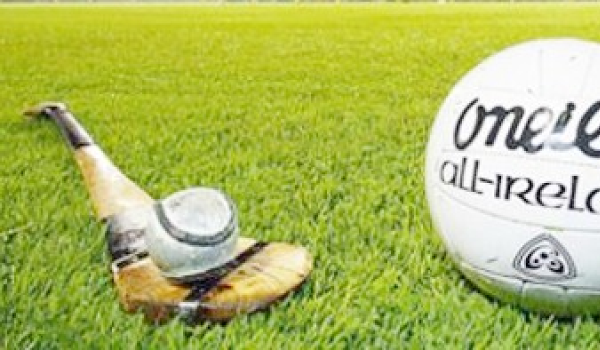 See the list of 67 Kildare clubs and organisations that will share ...