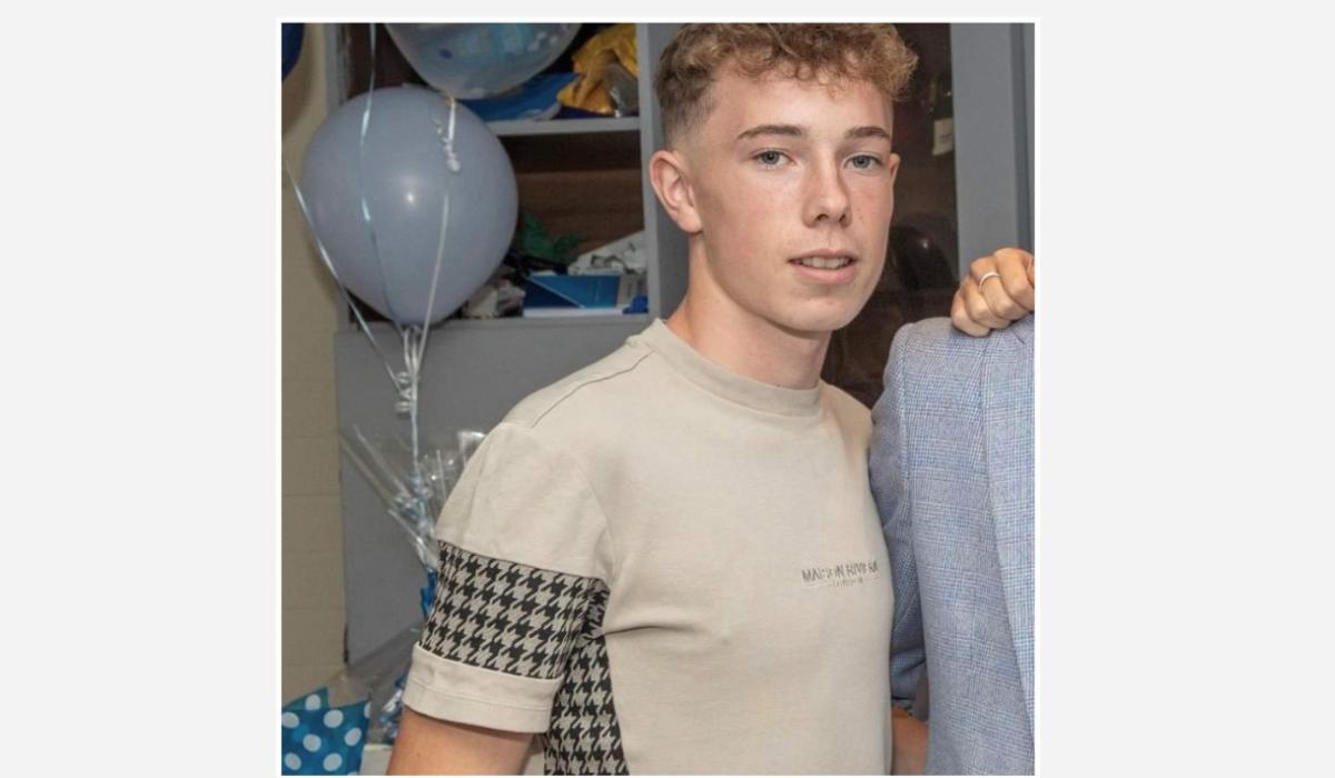 Garda appeal over missing teenager (15) - Kildare Live