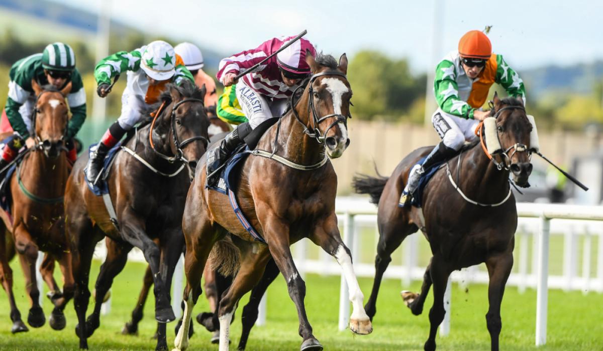 Action-packed weekend in store as Irish Flat season begins in Kildare ...