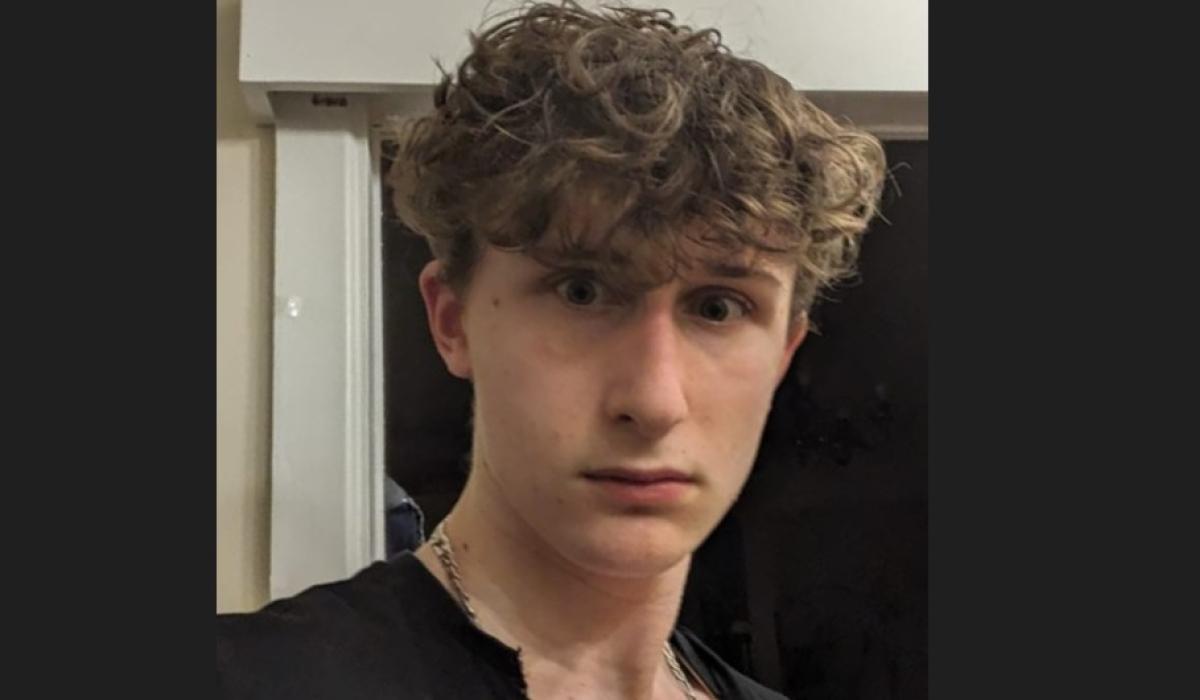 Gardaí seeking information in relation to missing 15-year-old boy Alex Taktikos - Kildare Live