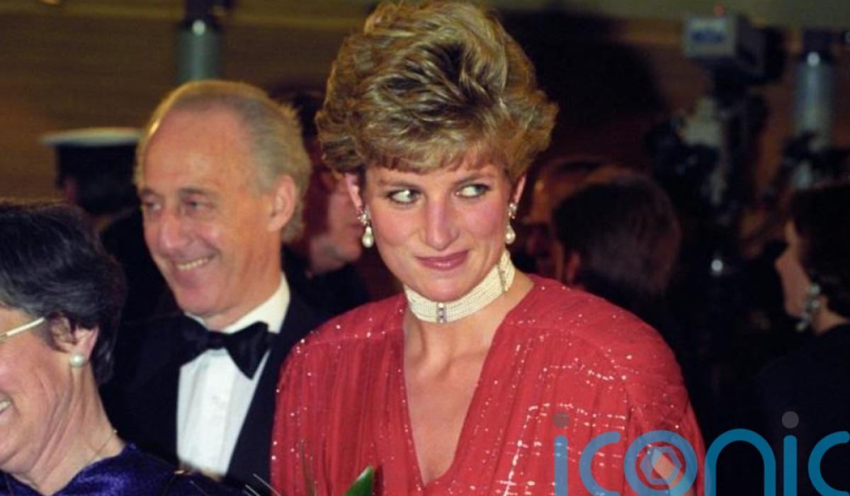 Great news for Newbridge Silverware! Dresses owned by Princess Diana to ...