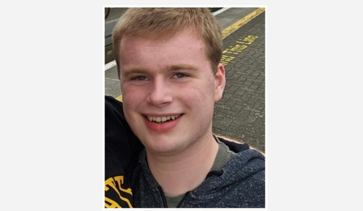 KILDARE: Gardaí renew appeal for missing teen - Kildare Live