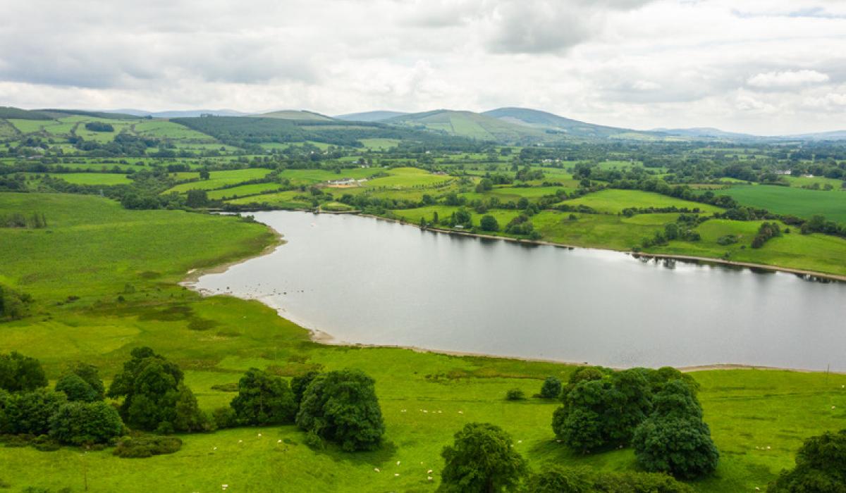 KILDARE: Tests discover algae substance in water in Newbridge, Kildare ...