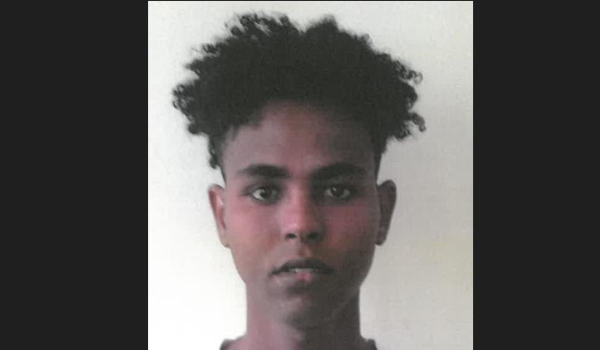 Gardaí release renewed information appeal in relation to whereabouts of ...