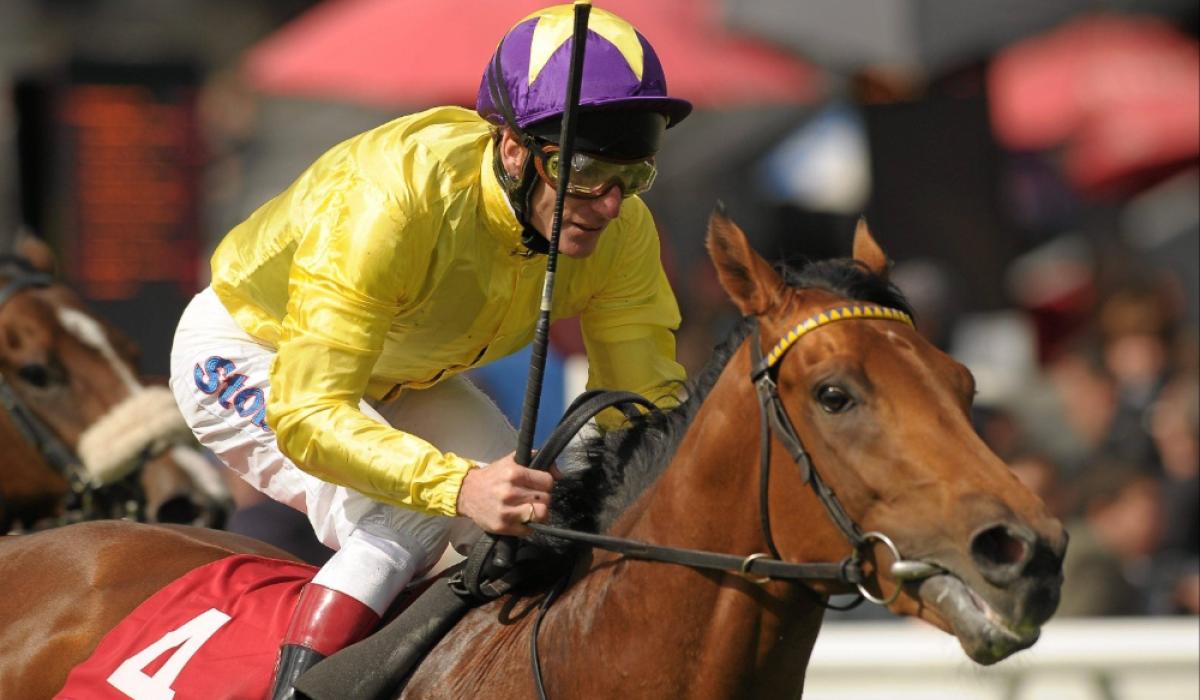 RACE academy make 21 of 31 staff redundant in huge cull of Kildare ...