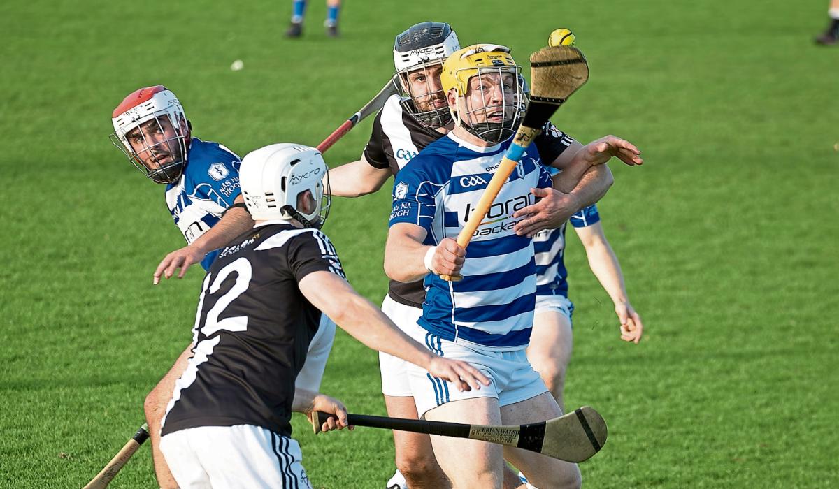 Naas dig deep to survive Maynooth scare and book final spot - Kildare Live