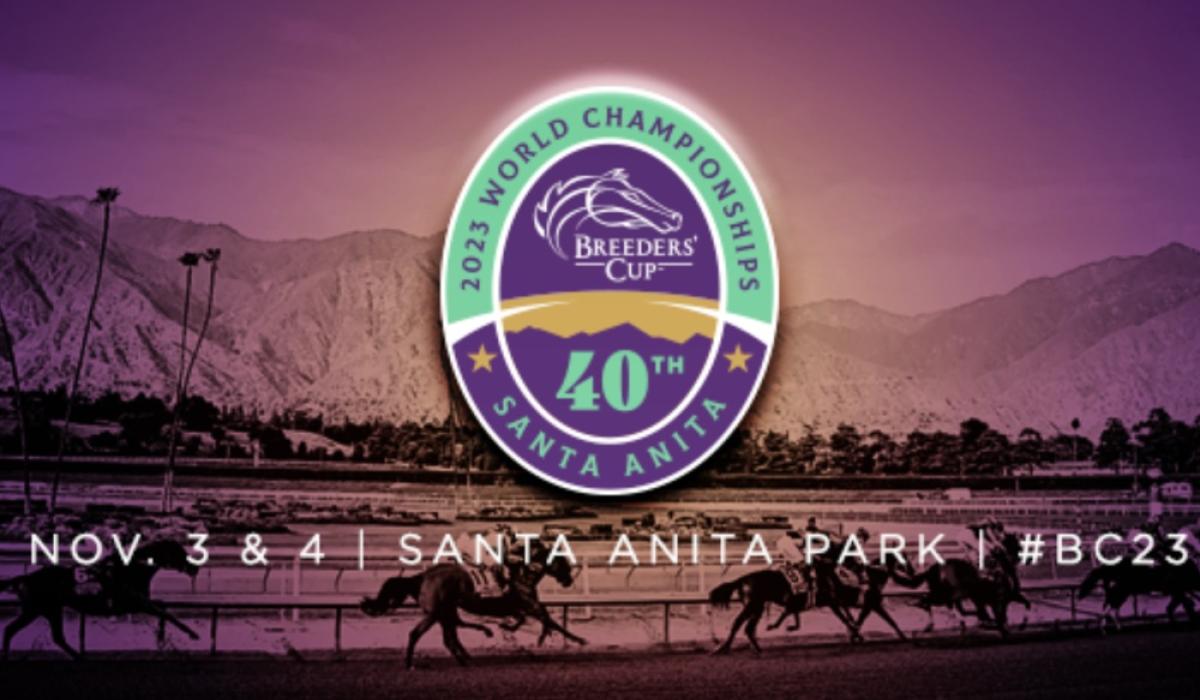 Kildare equine company partners with iconic Breeders’ Cup World ...