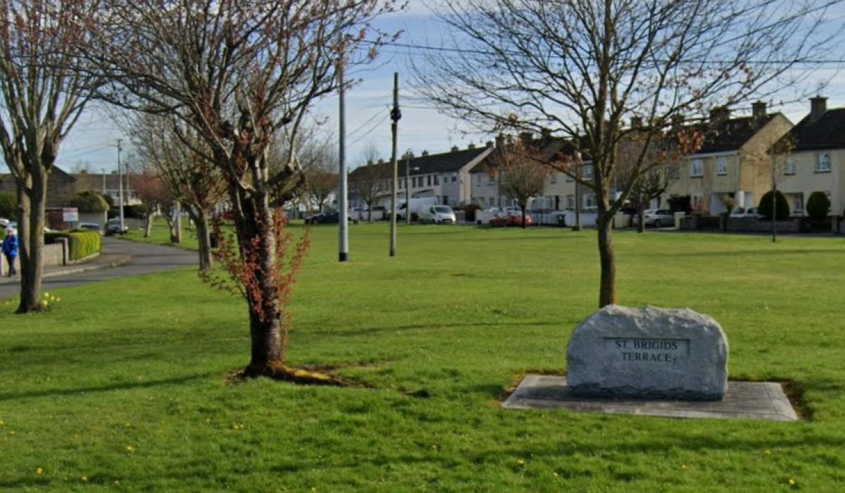 Trip hazard concerns highlighted in North Kildare estate by councillor ...