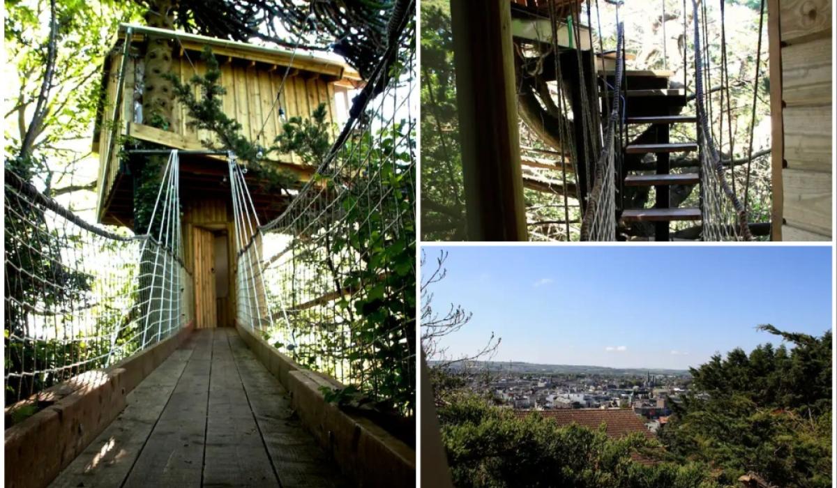 PICTURES: This treehouse accommodation in Ireland has amazing views ...