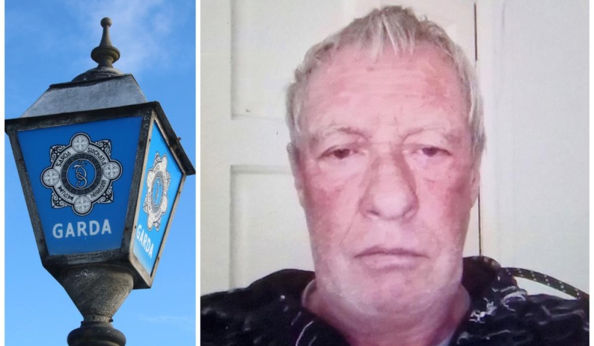 Gardaí concerned for wellbeing of missing man in his 60s - Kildare Live