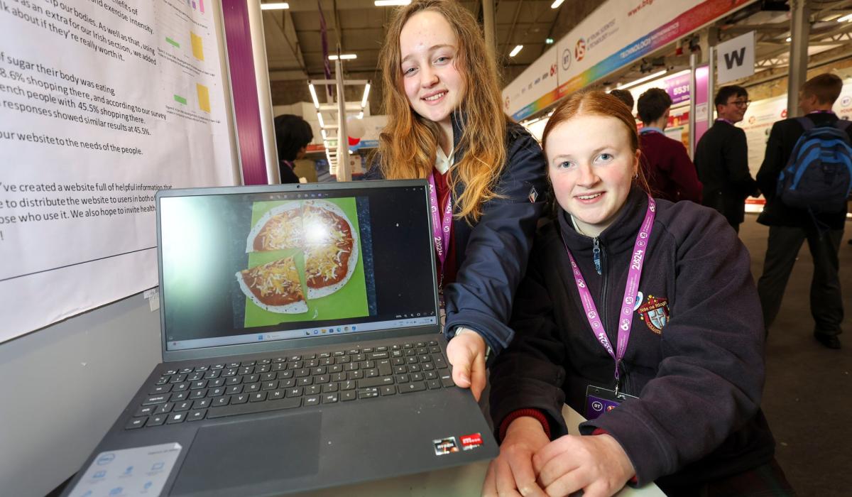 GALLERY: Kildare winners at BT Young Scientist & Technology Exhibition ...