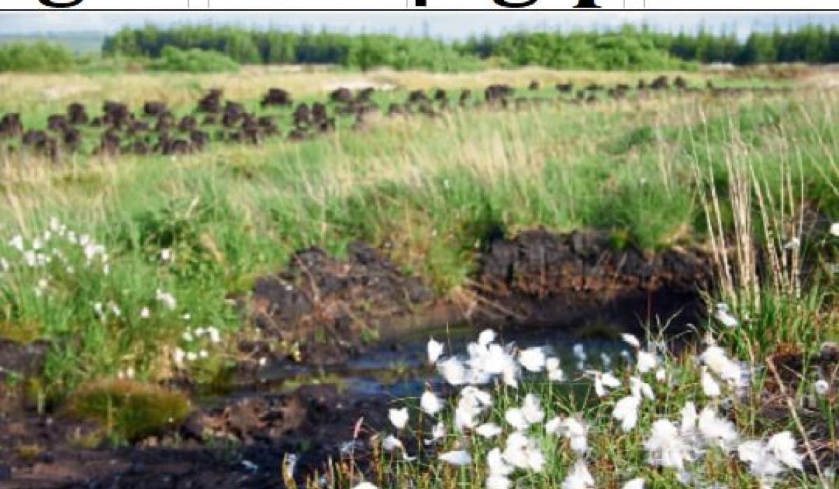 Tourism potential of Kildare bog should be explored - Kildare Live