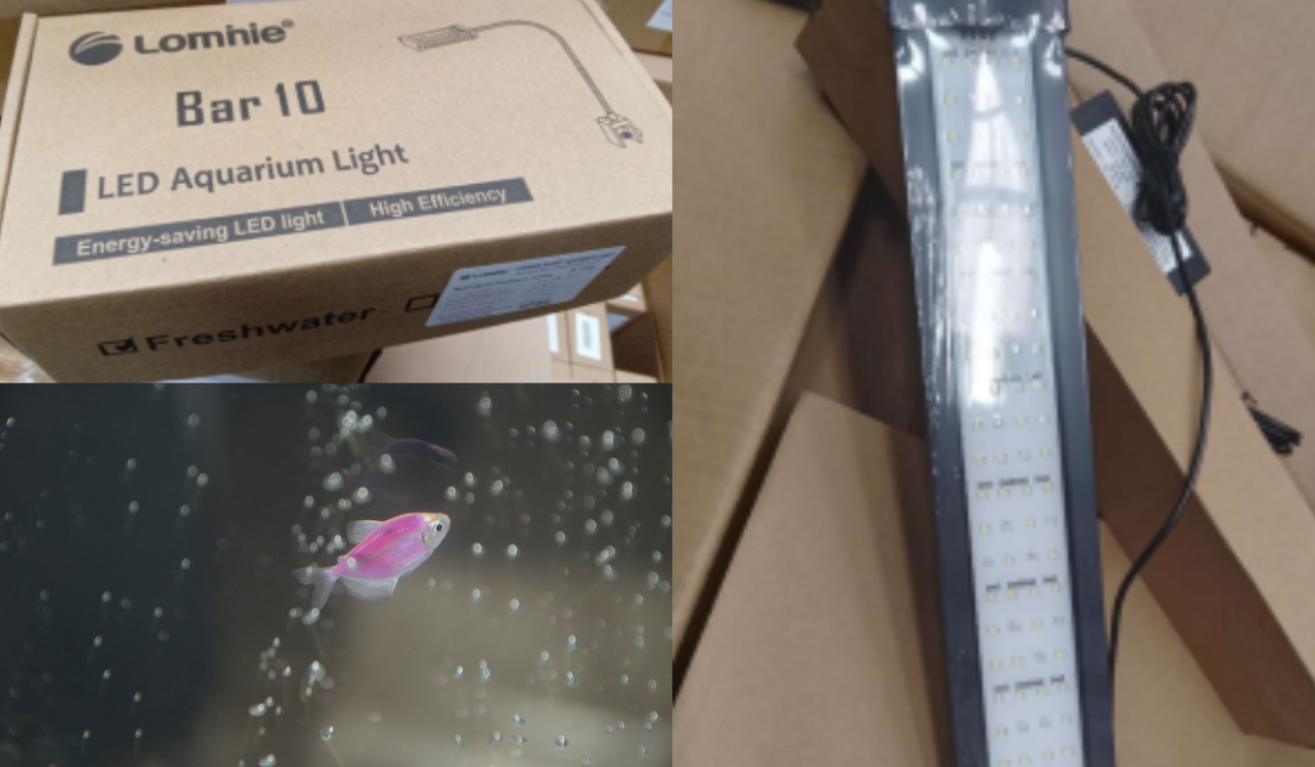 Risk of electrocution prompts 'immediate' recall of two popular fish ...