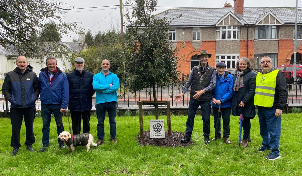 NEWS BRIEF: Permanent Remembrance Tree installed in Liffey Linear Park ...