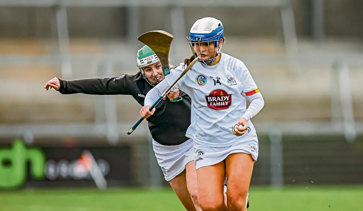 Progress, despite defeat: Mike Wall, Kildare camogie manager - Kildare Live