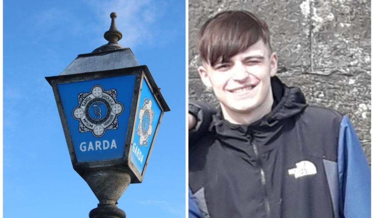 Gardaí renew appeal to help find teenager missing for weeks - Kildare Live