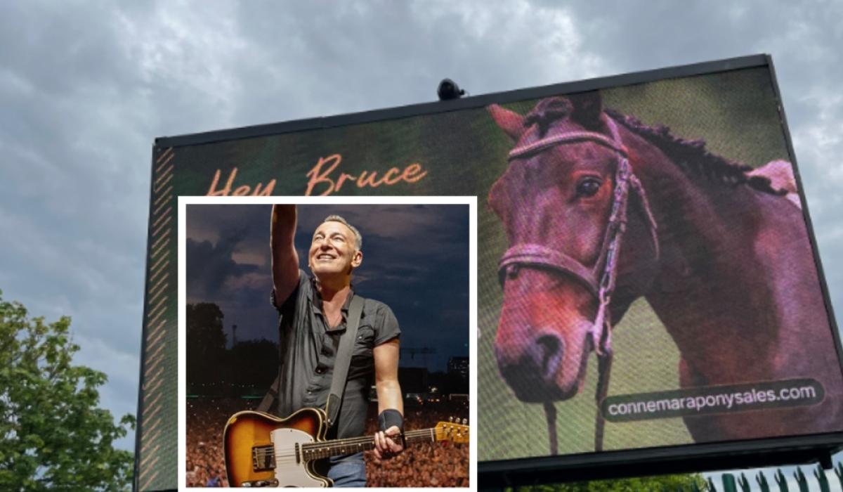 Connemara Pony Sales create hilarious ad for Bruce Springsteen during ...
