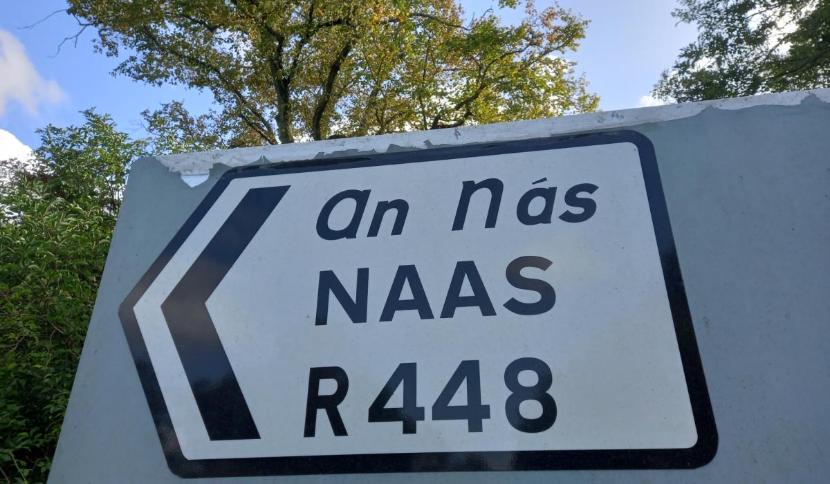 Ramps and speed notices needed at Naas road - Kildare Live