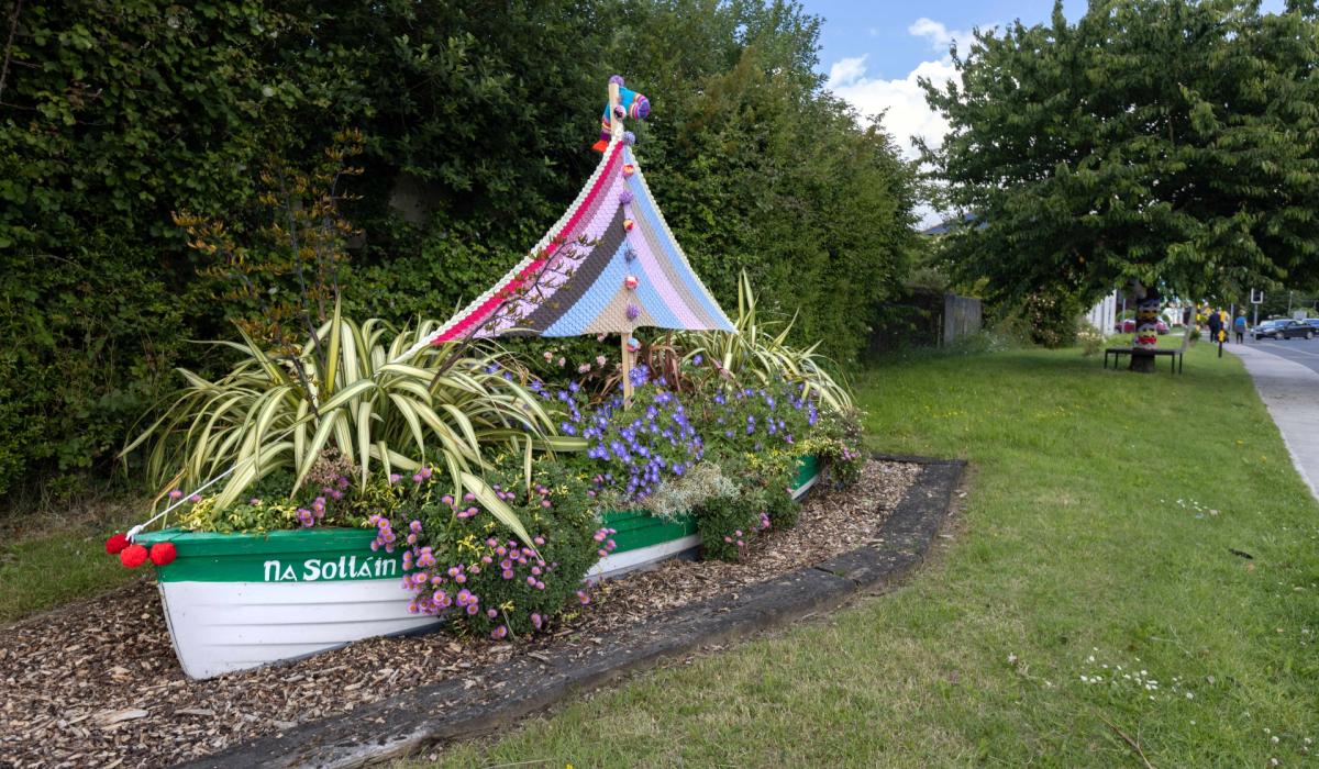 Local club decorating areas of Sallins village - Kildare Live