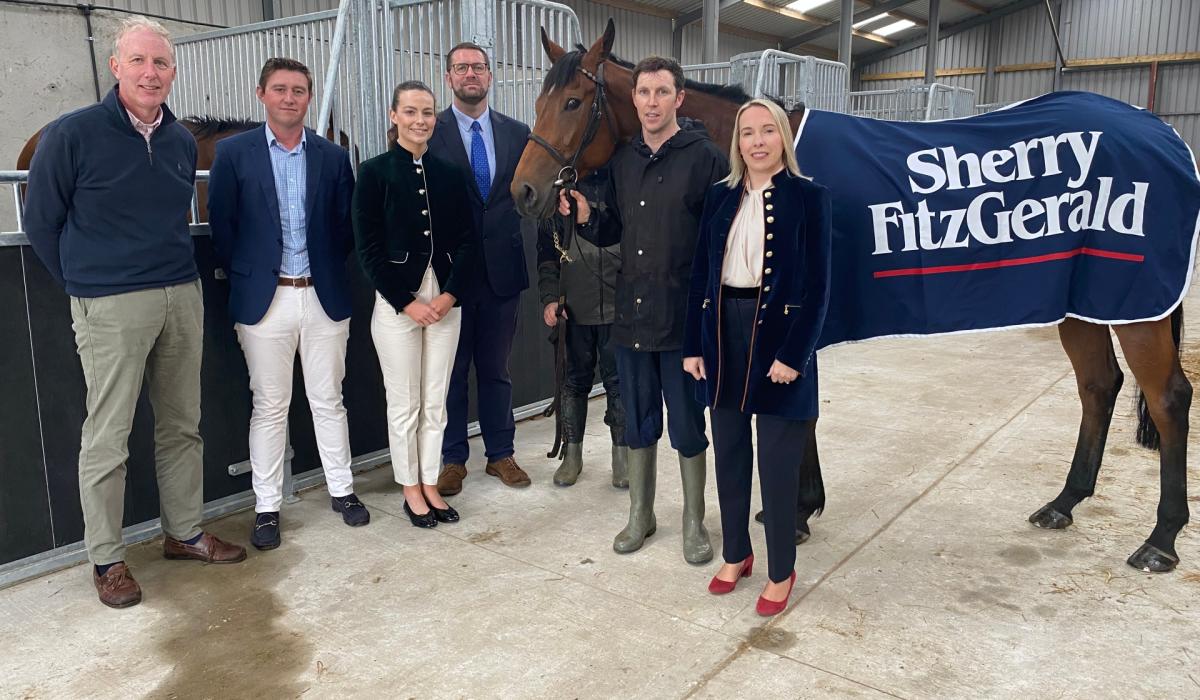 Curragh Racecourse renews association with Sherry FitzGerald Country ...