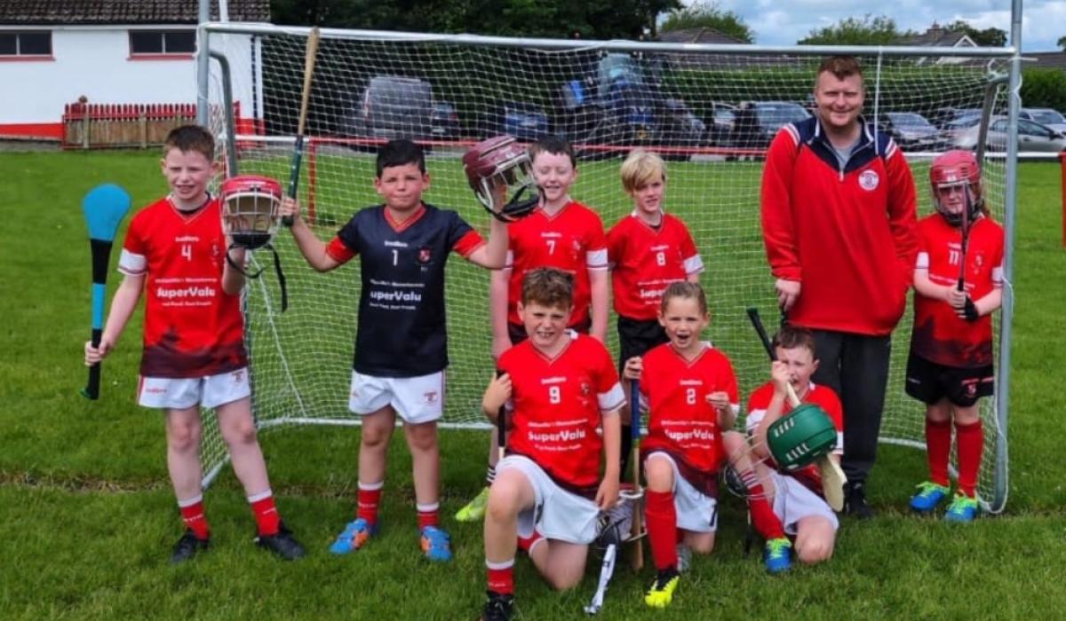 Rebuilding Ros Glas — a look into the Monasterevin hurling revival ...