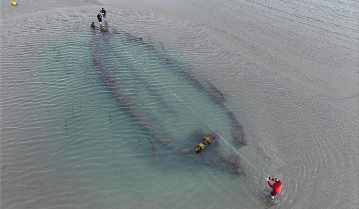 Shifting sands unveils three new historic shipwrecks to local ...