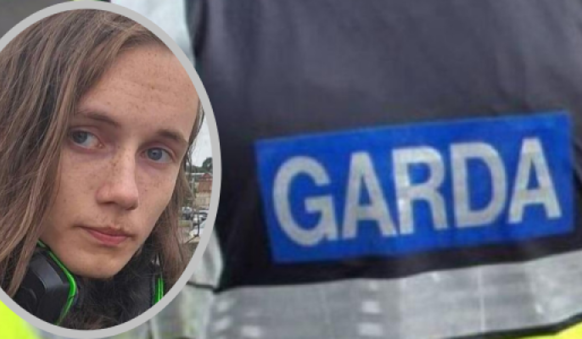 Search for teenager missing two weeks stood down - Kildare Live