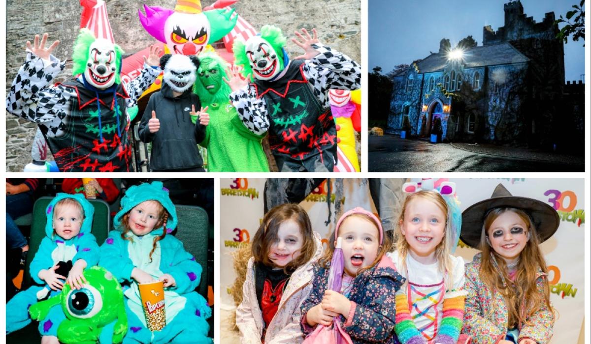 PICTURES: Barretstown children's charity marks 30 years with ...