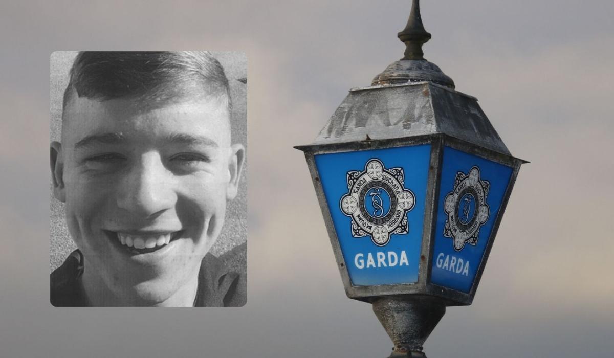 Gardaí issue appeal over teenage boy missing on Kildare/Laois border - Kildare Live