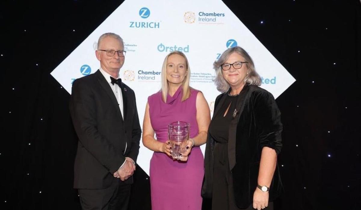 Kildare County Council receives Age Friendly Initiative award - Kildare Live