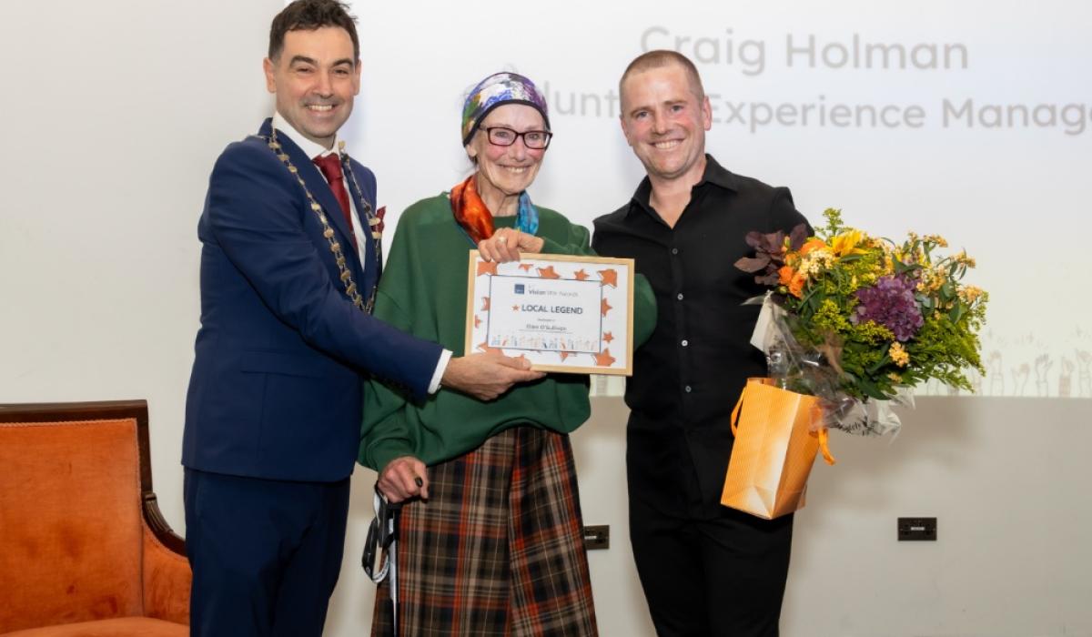 Kildare volunteers honoured at Vision Ireland’s Vision Star Awards ...