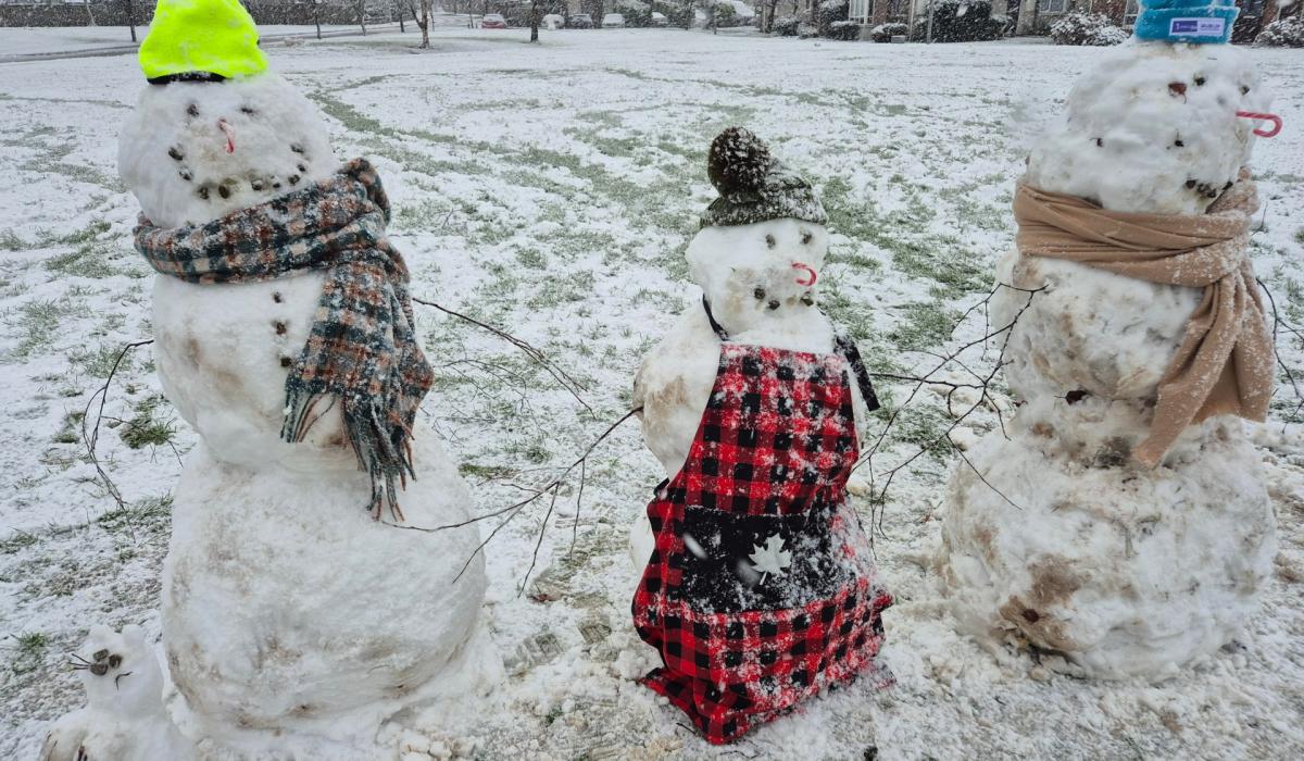 Local snowmen won't be going anywhere as low temperatures for Kildare ...