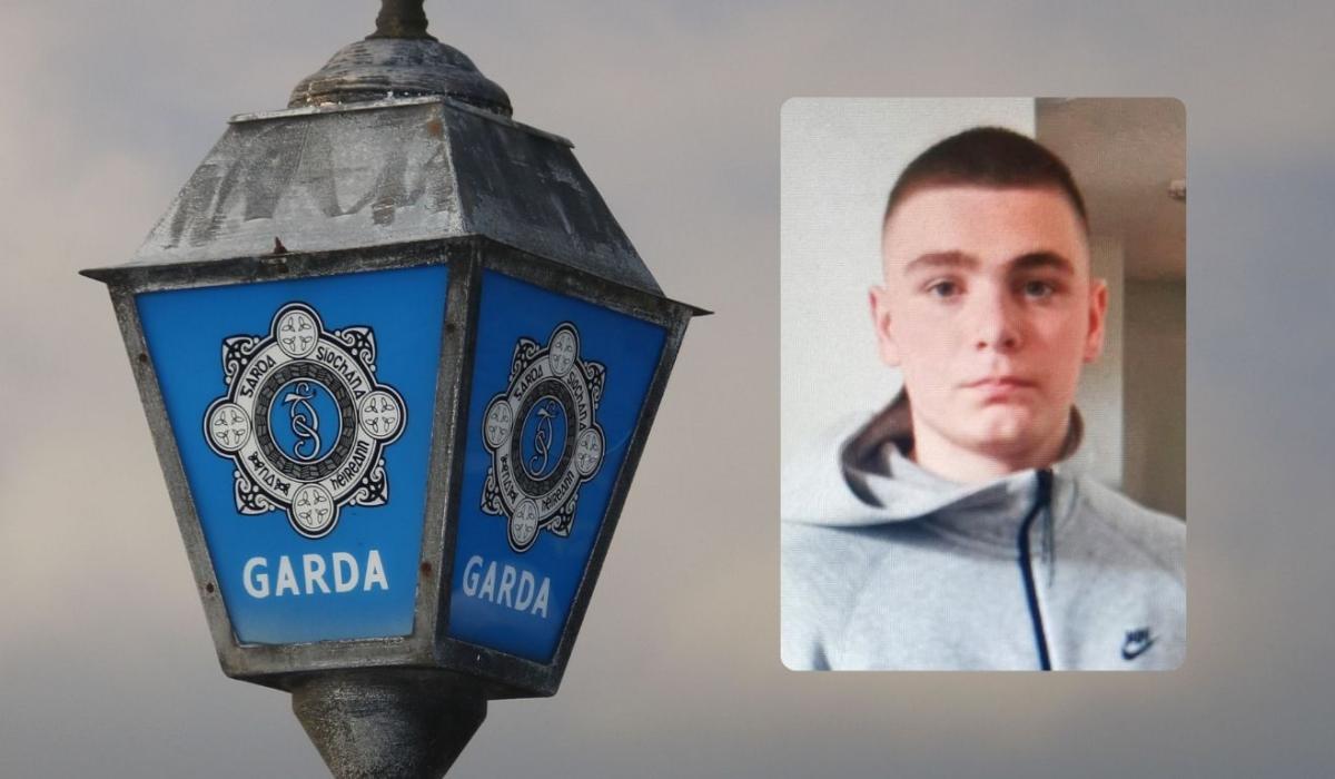 ALERT: Gardai in urgent appeal amid concern for well-being for missing teenager - Kildare Live