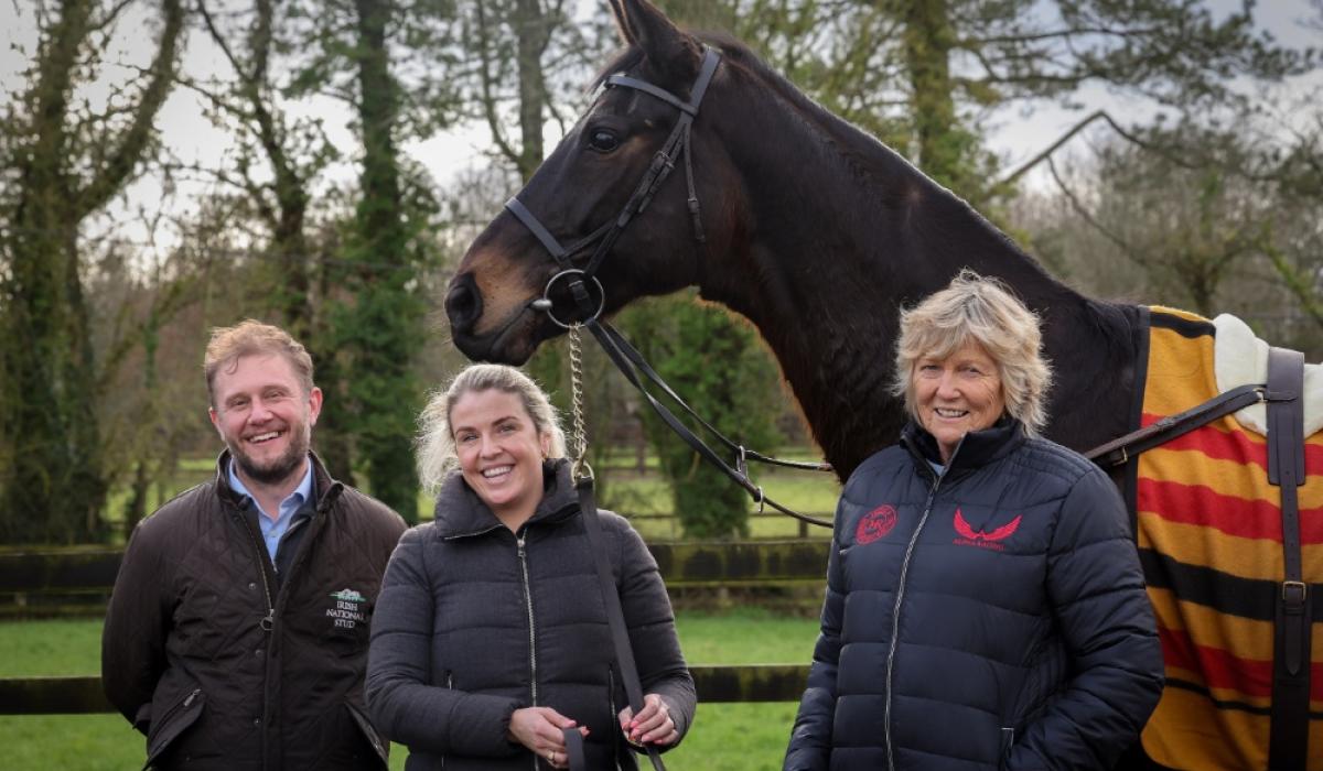 Irish National Stud welcomes Gold Cup hero to legends paddock in ...