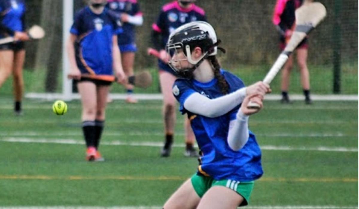 Kildare school set for All-Ireland camogie final this weekend - Kildare ...
