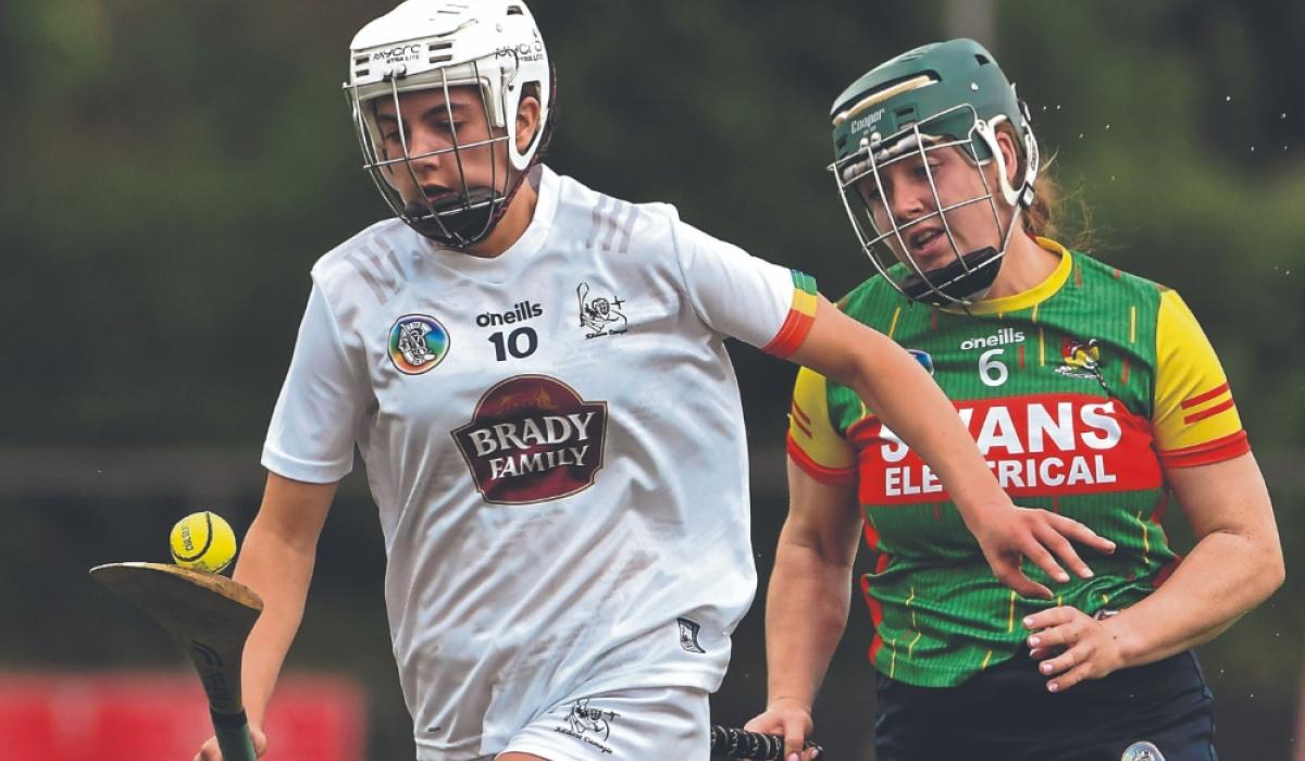 Carlow have too much Kildare in Camogie Championship - Kildare Live