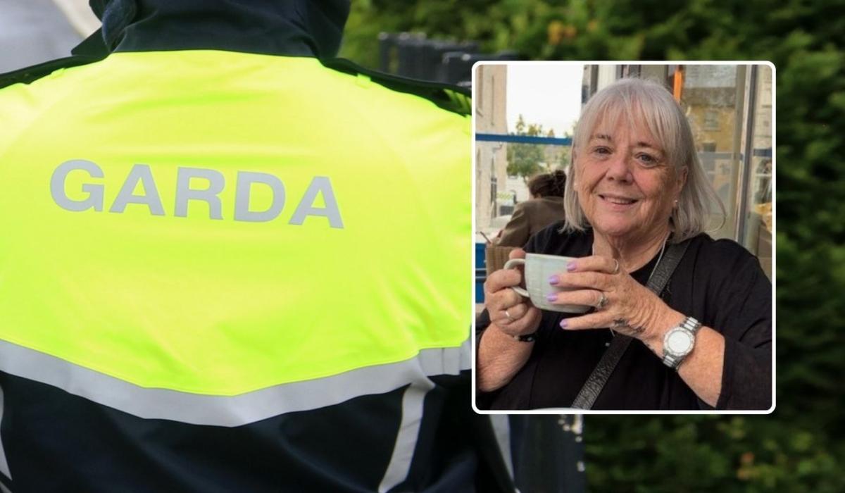 ALERT: Urgent Garda appeal for missing Kildare woman - Kildare Live