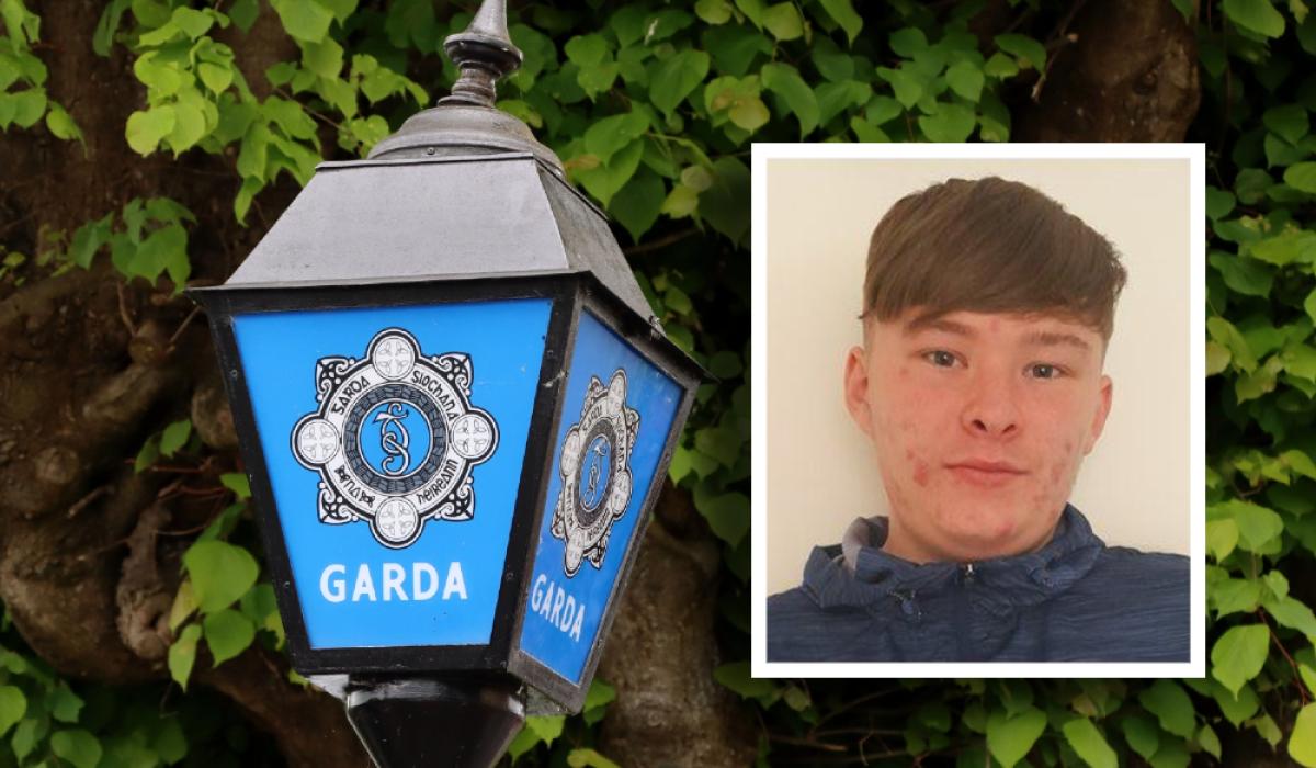 Search for teenage boy (16) missing for over a week stood down as gardaí issue update - Kildare Live
