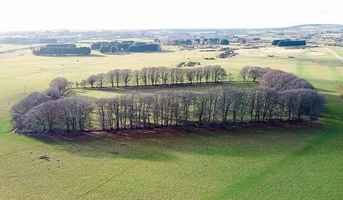 Second phase of public consultation process for the Curragh Plains ...